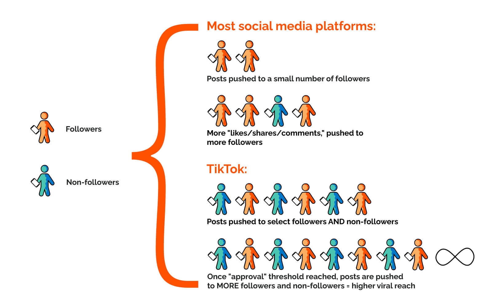 What Is TikTok? An Introduction to TikTok for Brands | Online Sales ...